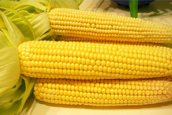 A Glimpse into Vietnamese Breakfast Delights - Indochina Tours