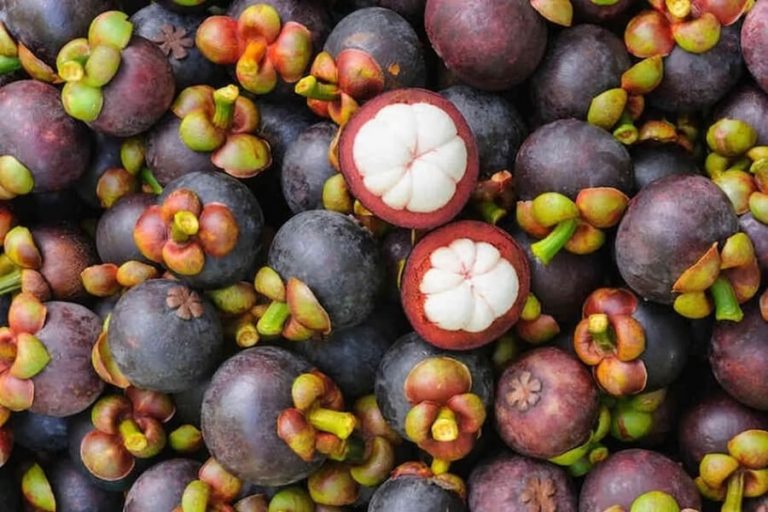 Top 12+ Asian Exotic Fruits You Need to Try Once in Your Life